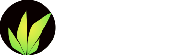 Veritech Engineering Services